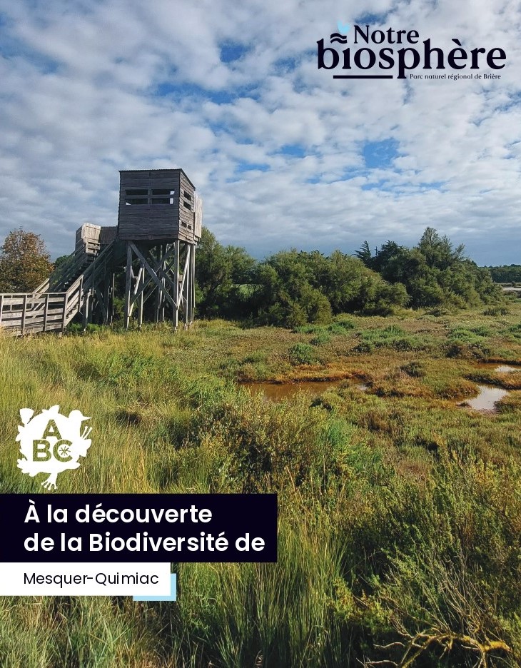 Découvrez la biodiversité de votre commune ! - Commune de Mesquer-Quimiac